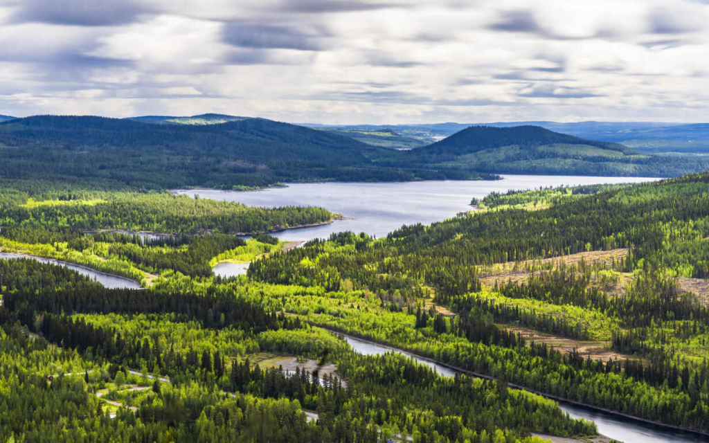 Flytta till Västerbotten- Tips och råd inför din flytt!